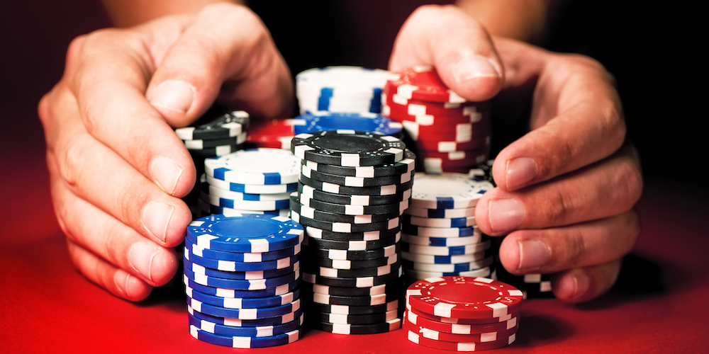 Big Bets in the Animal Health Industry – Zone 14 Product Management